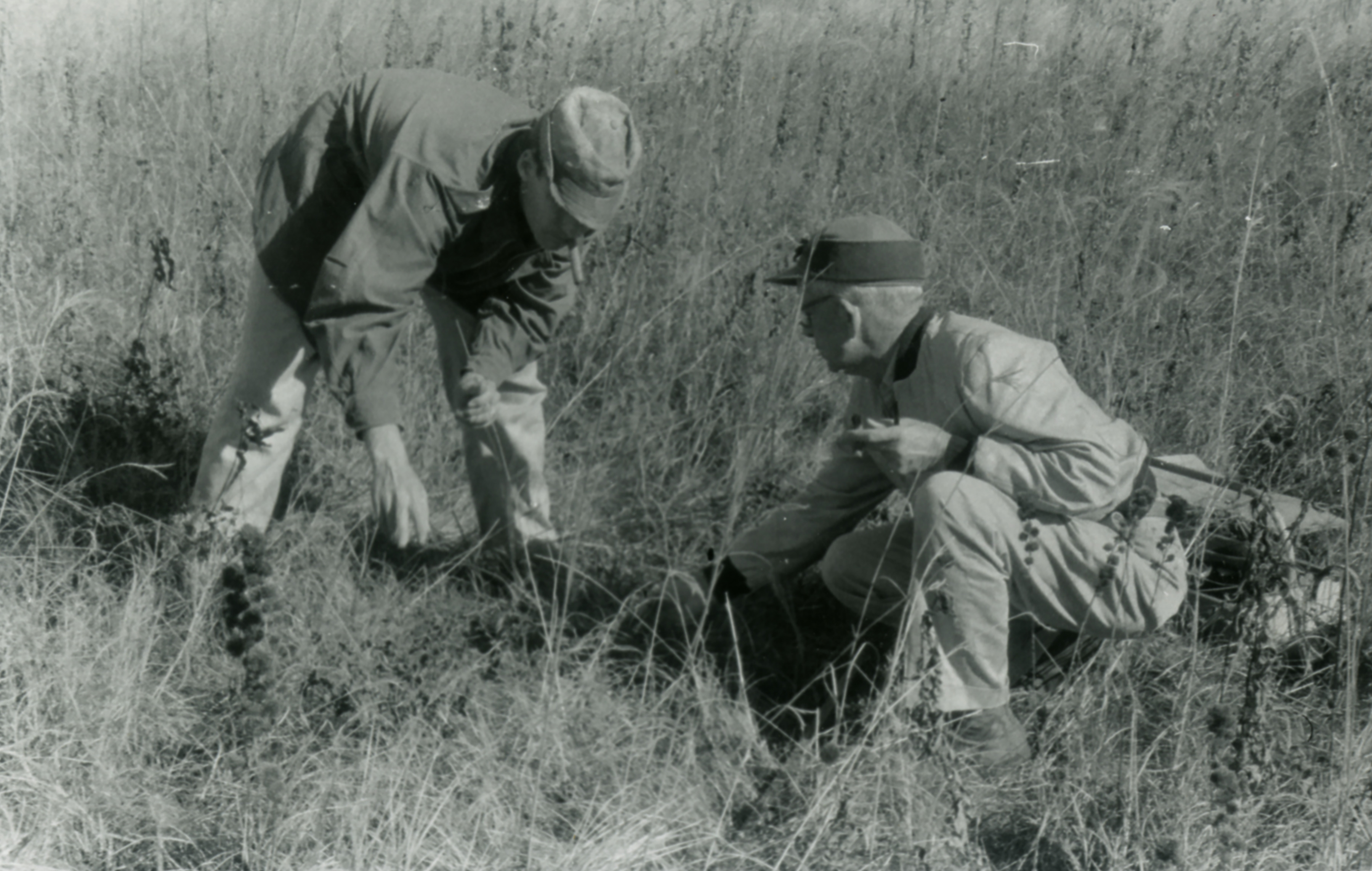 John M. Aikman at Hayden Prairie State Preserve | Iowa State Parks ...