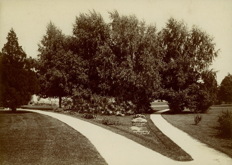 Paths leading to Margaret Hall and Carrie Chapman Catt Hall | Iowa ...