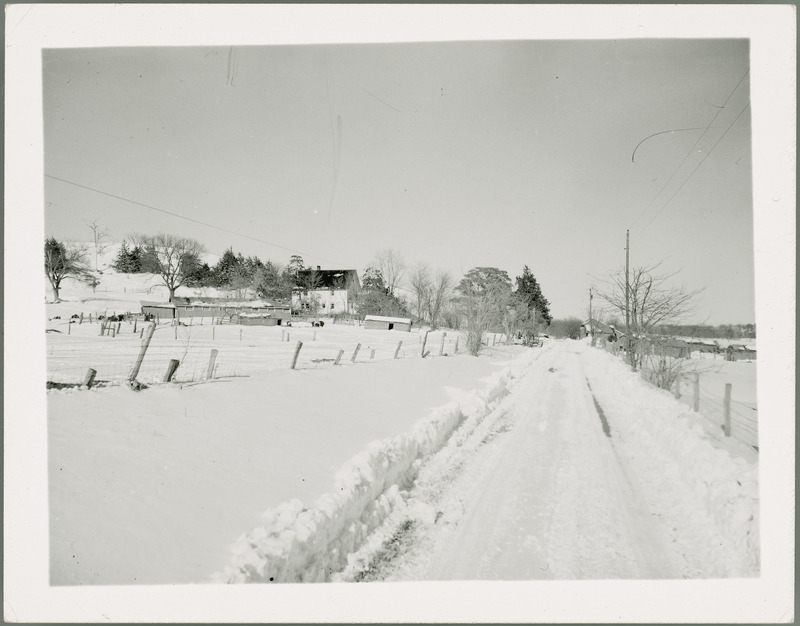 Plowed road passing a snow-covered farm with farmhouse and swine | Iowa ...