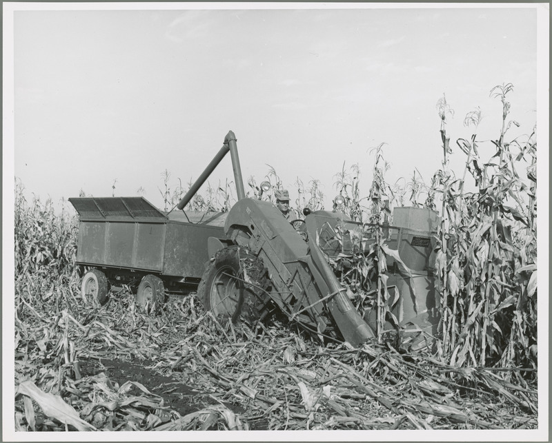 Corn picker 227 | Iowa State University Photographs