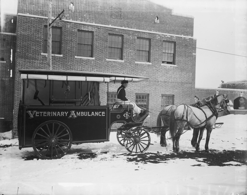 Veterinary ambulance, 1912 | Iowa State University Photographs