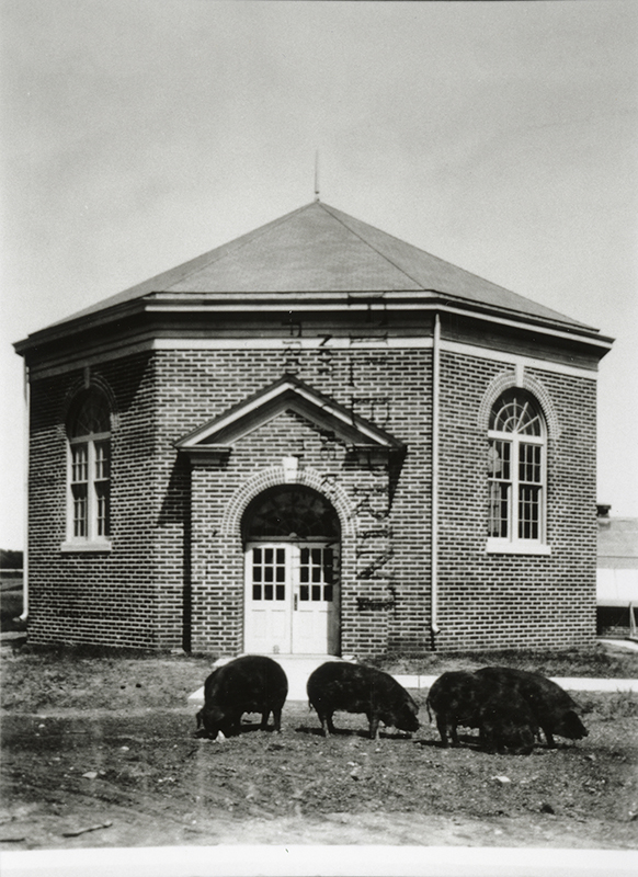 Photograph of the Hog Pavilion | Iowa State University Photographs